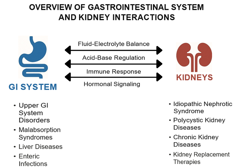 Bidirectional Interaction Between the Gastrointestinal System and the ...